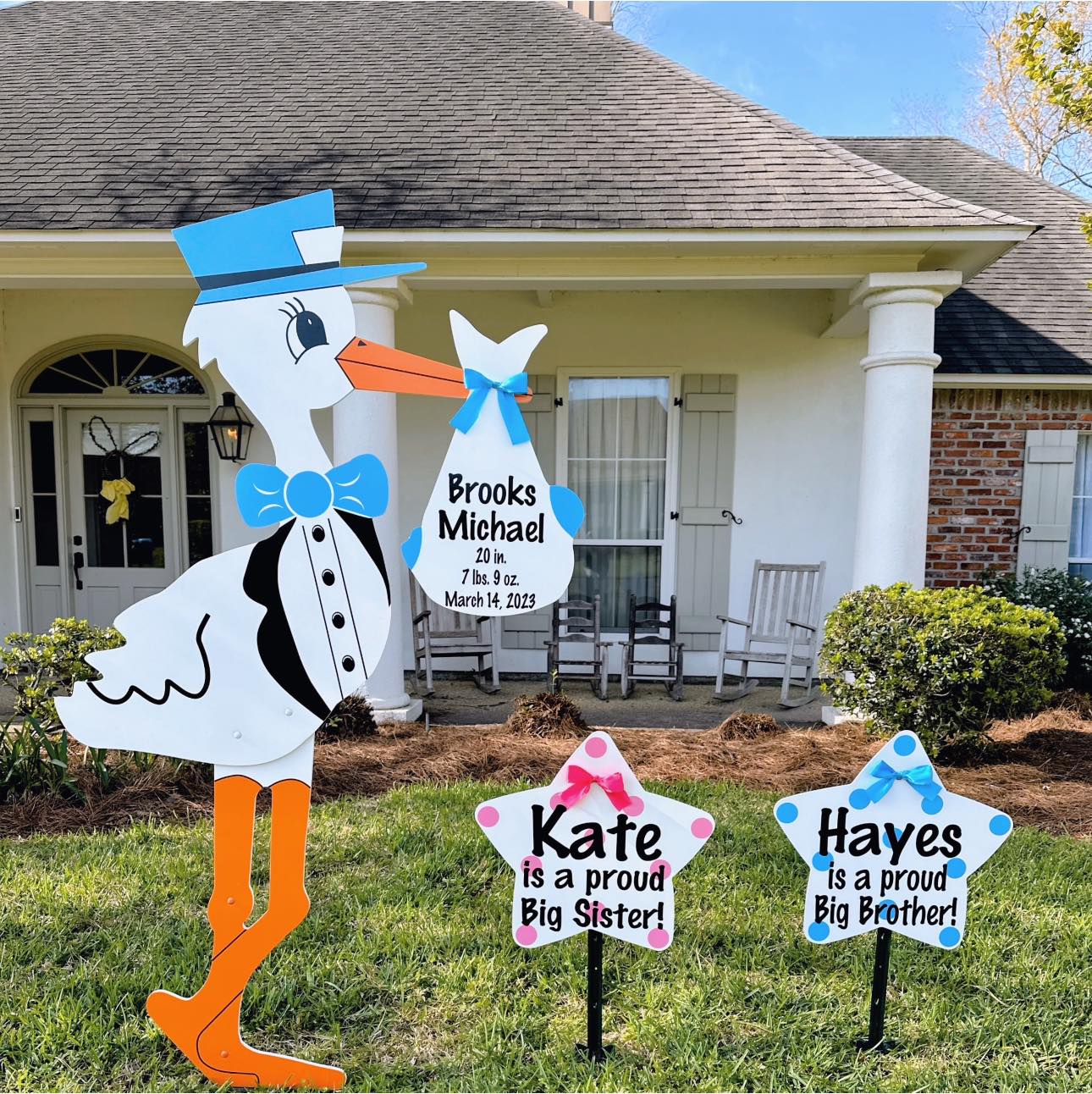 Signed Storked Delivered: Stork Sign Rental in Washington, Greenville ...